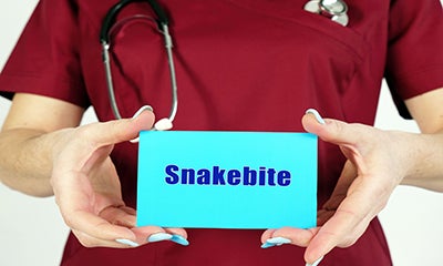 Comprehensive Snakebite Program offers multidisciplinary care for snakebite victims | Children's ...
